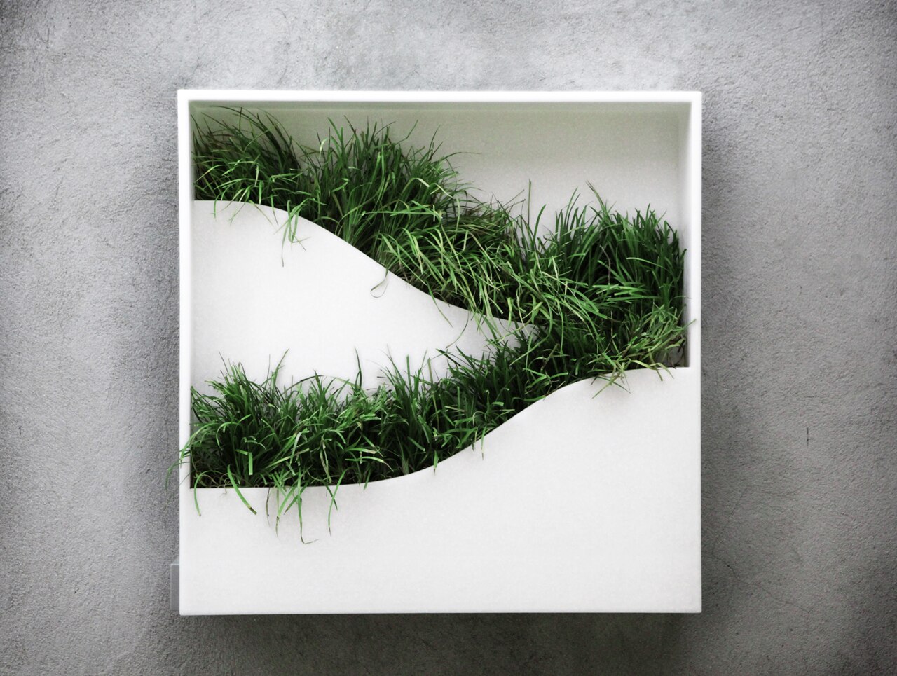 Schizophrenic Project - Domus