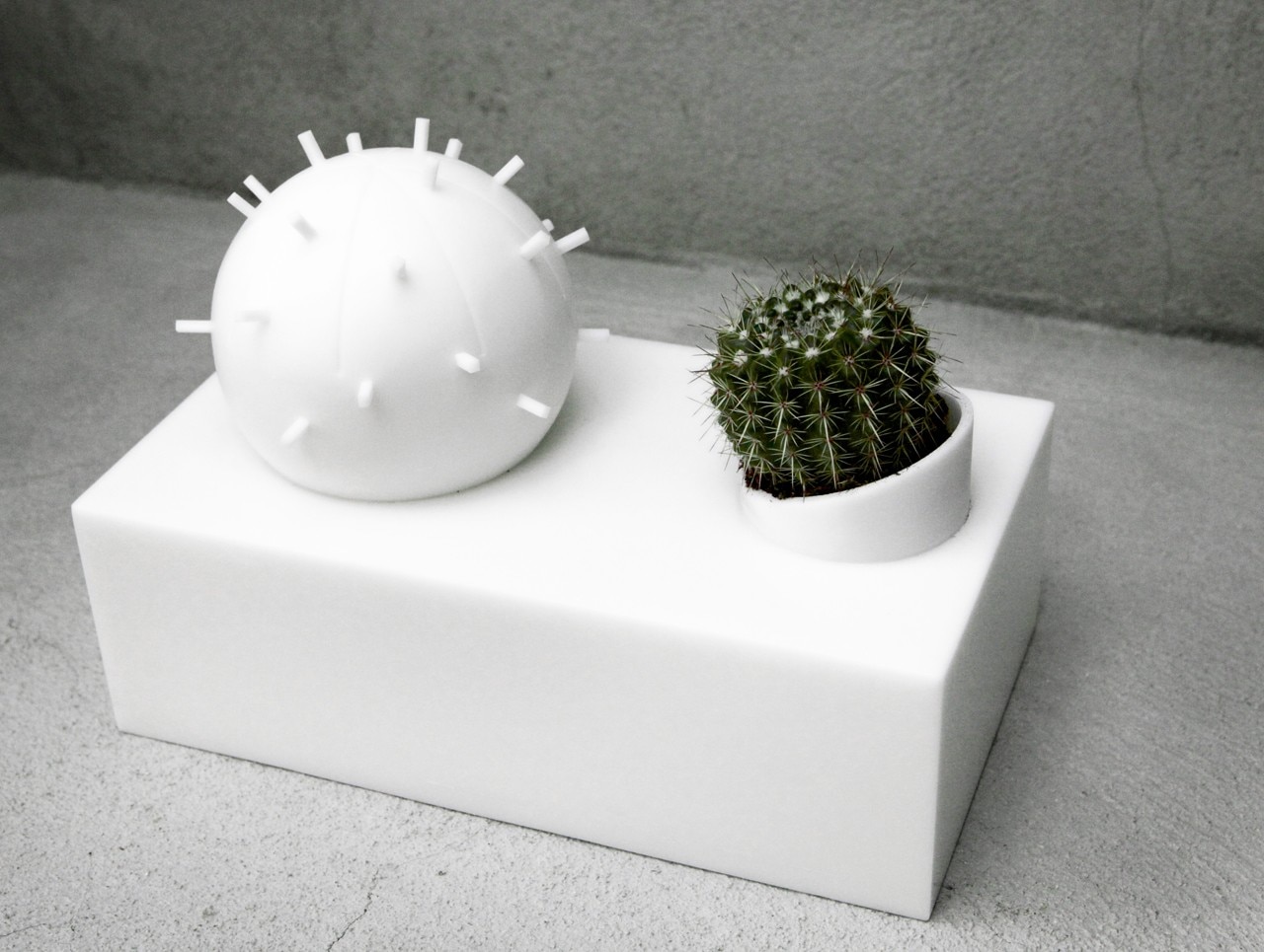 Schizophrenic Project - Domus