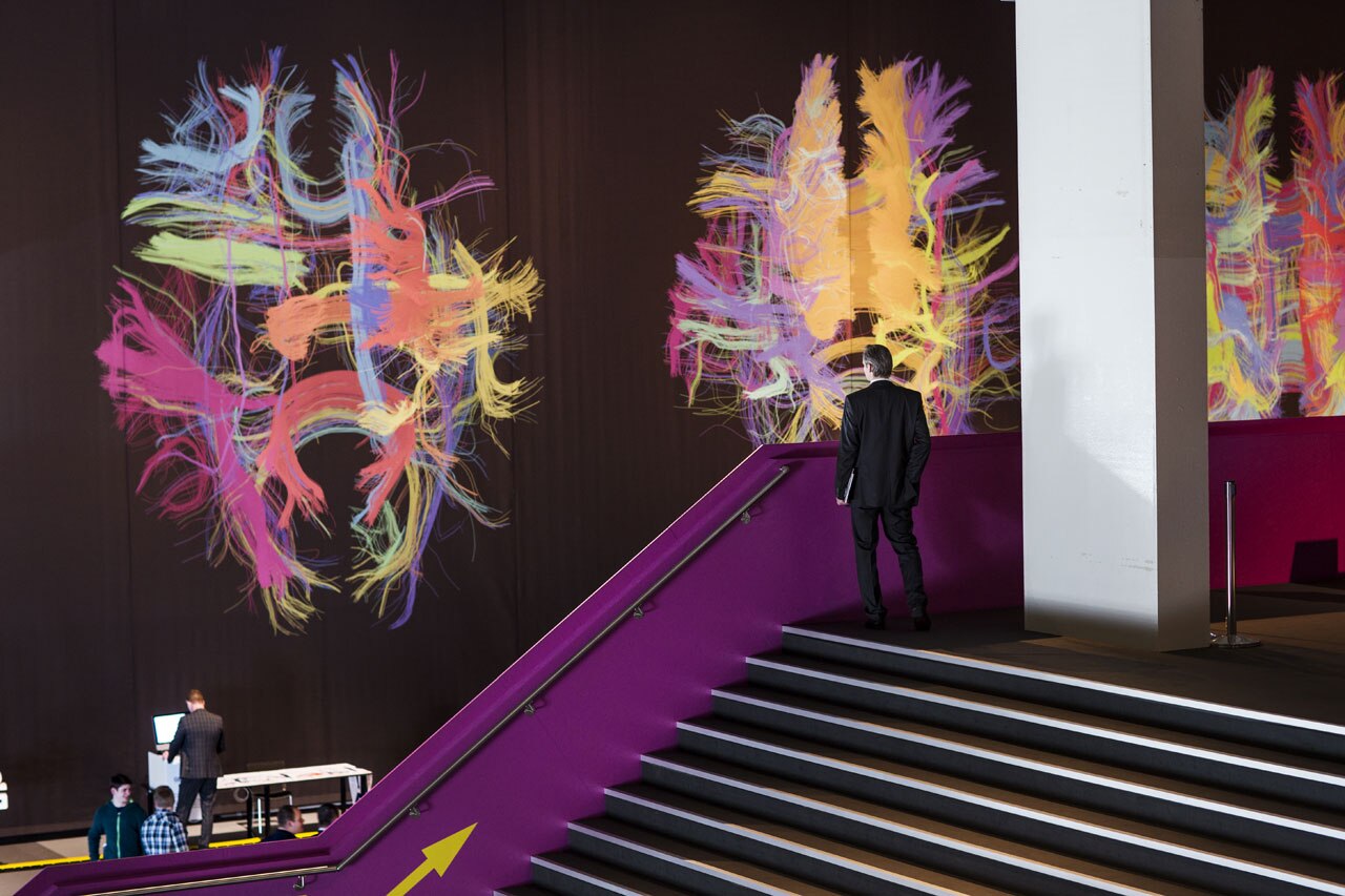 Terapixel Graphics - Domus