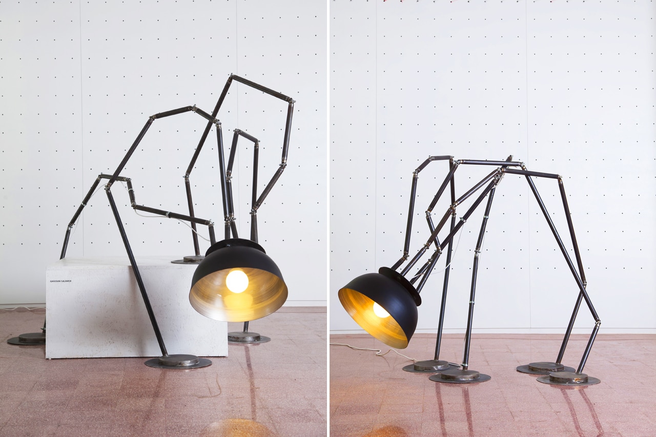 Arthropod Collection - Domus