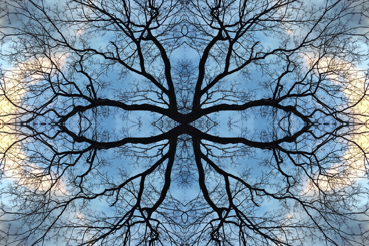 Ivan Butorac - Domus