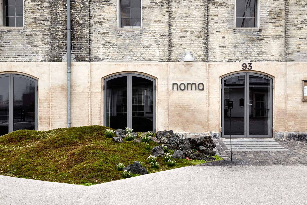 Noma Nordic landscape - Domus