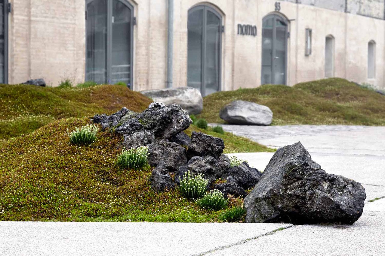 Noma Nordic landscape - Domus