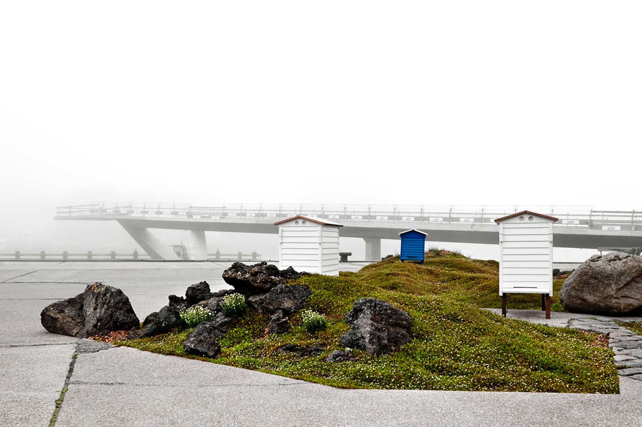 Noma Nordic landscape - Domus