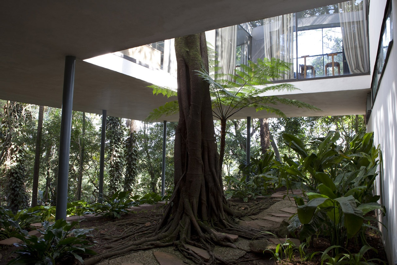 Lina Bo Bardi: Together - Domus