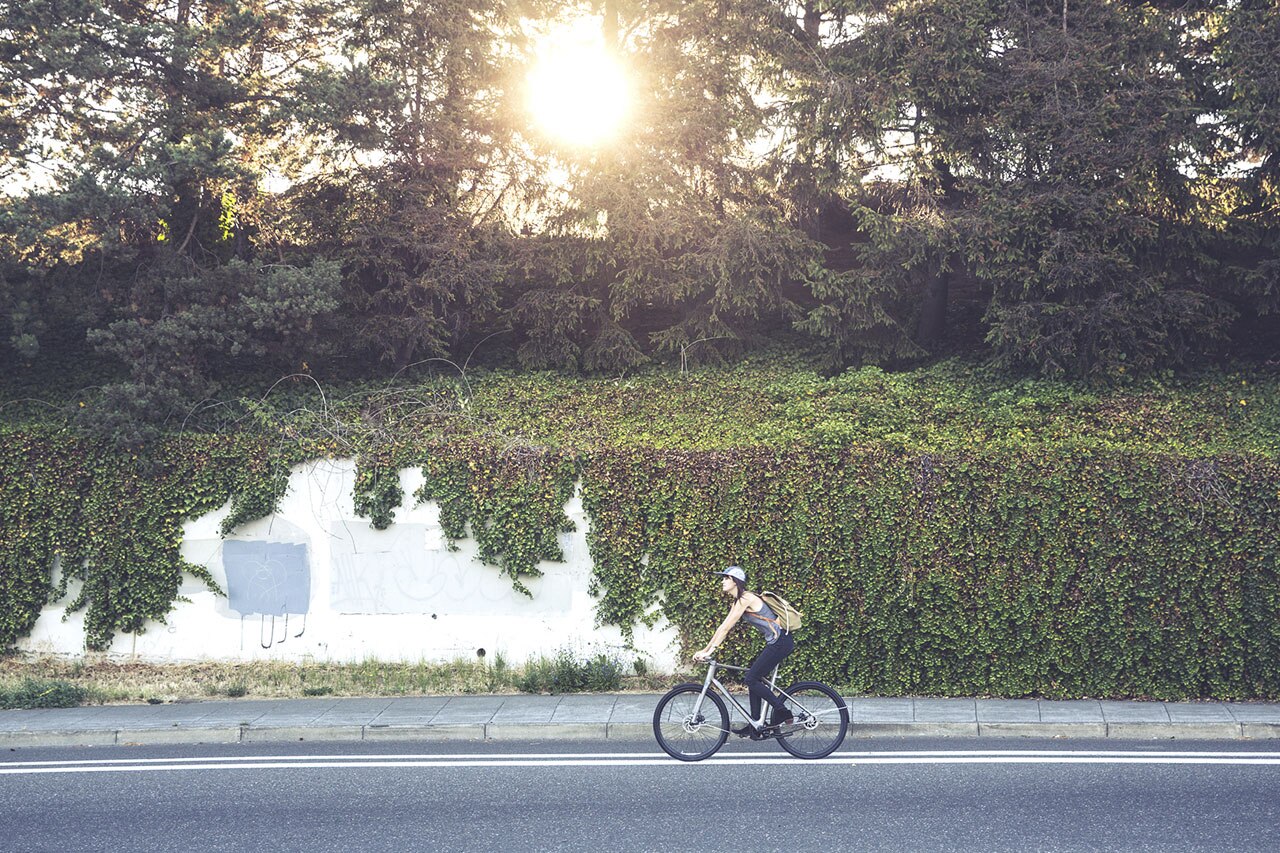 Industry: Solid bike - Domus