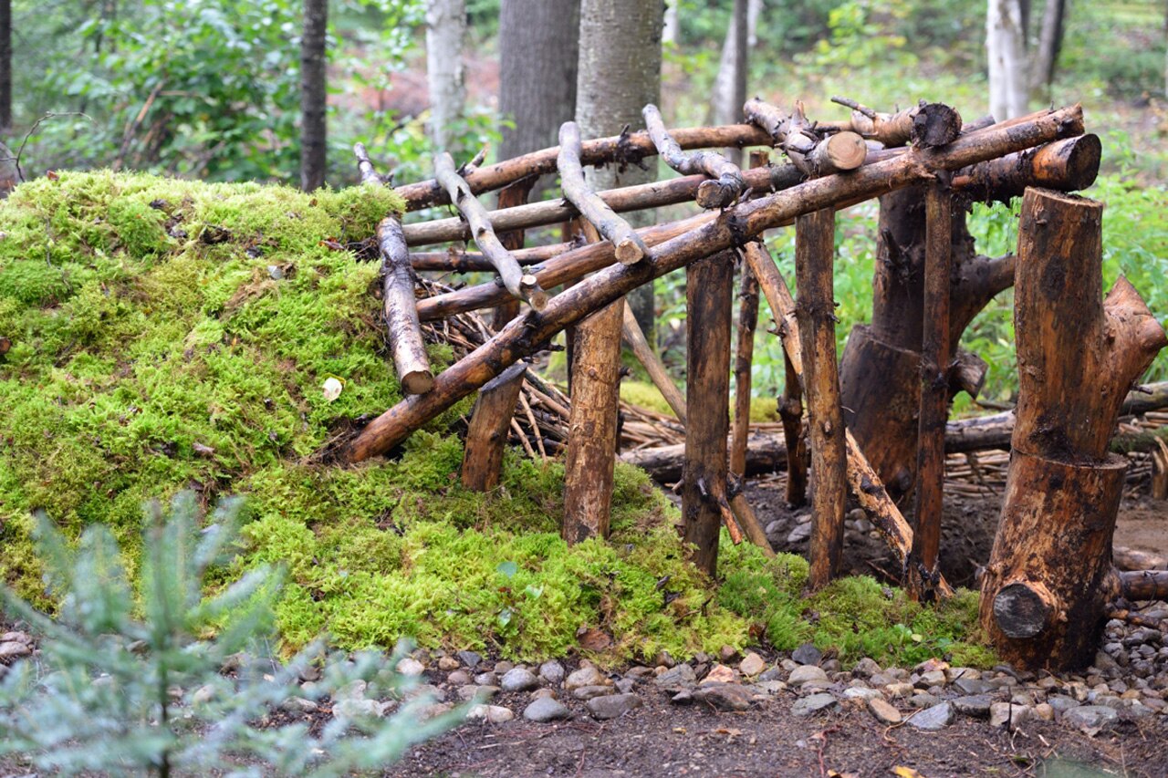 The secret shelter - Domus