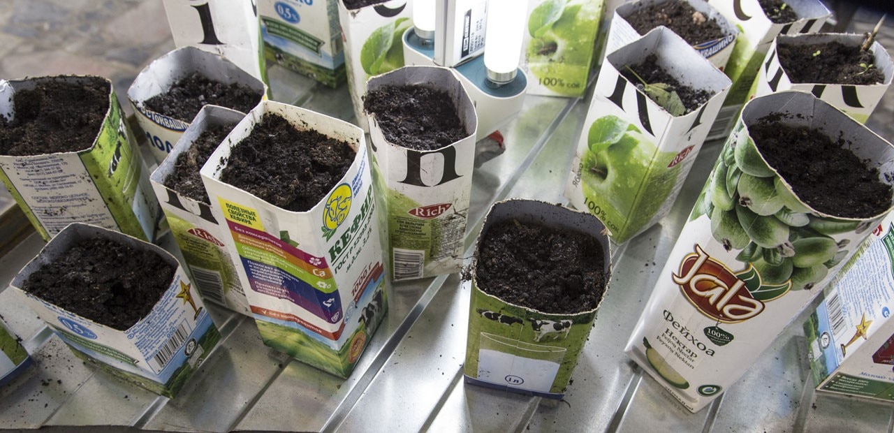 Urban Fauna Lab - Domus