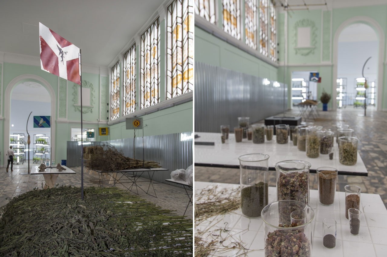 Urban Fauna Lab - Domus