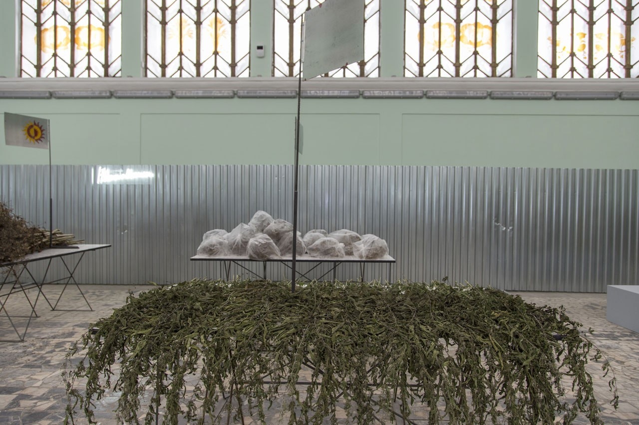 Urban Fauna Lab - Domus