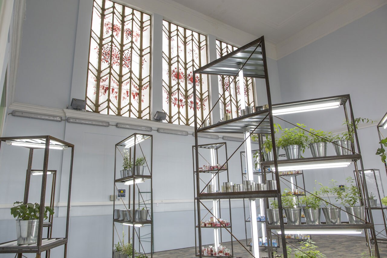 Urban Fauna Lab - Domus