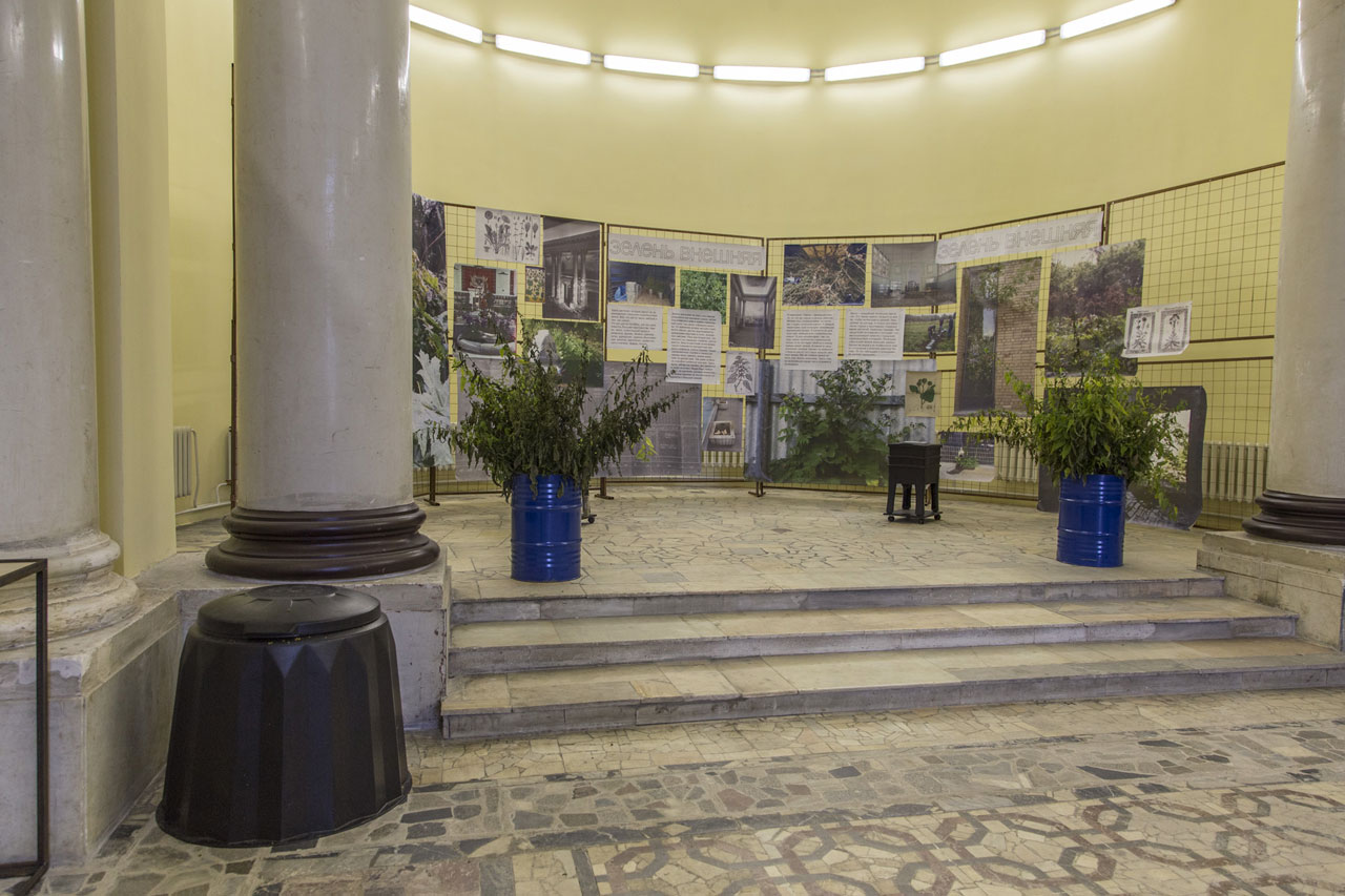 Urban Fauna Lab - Domus