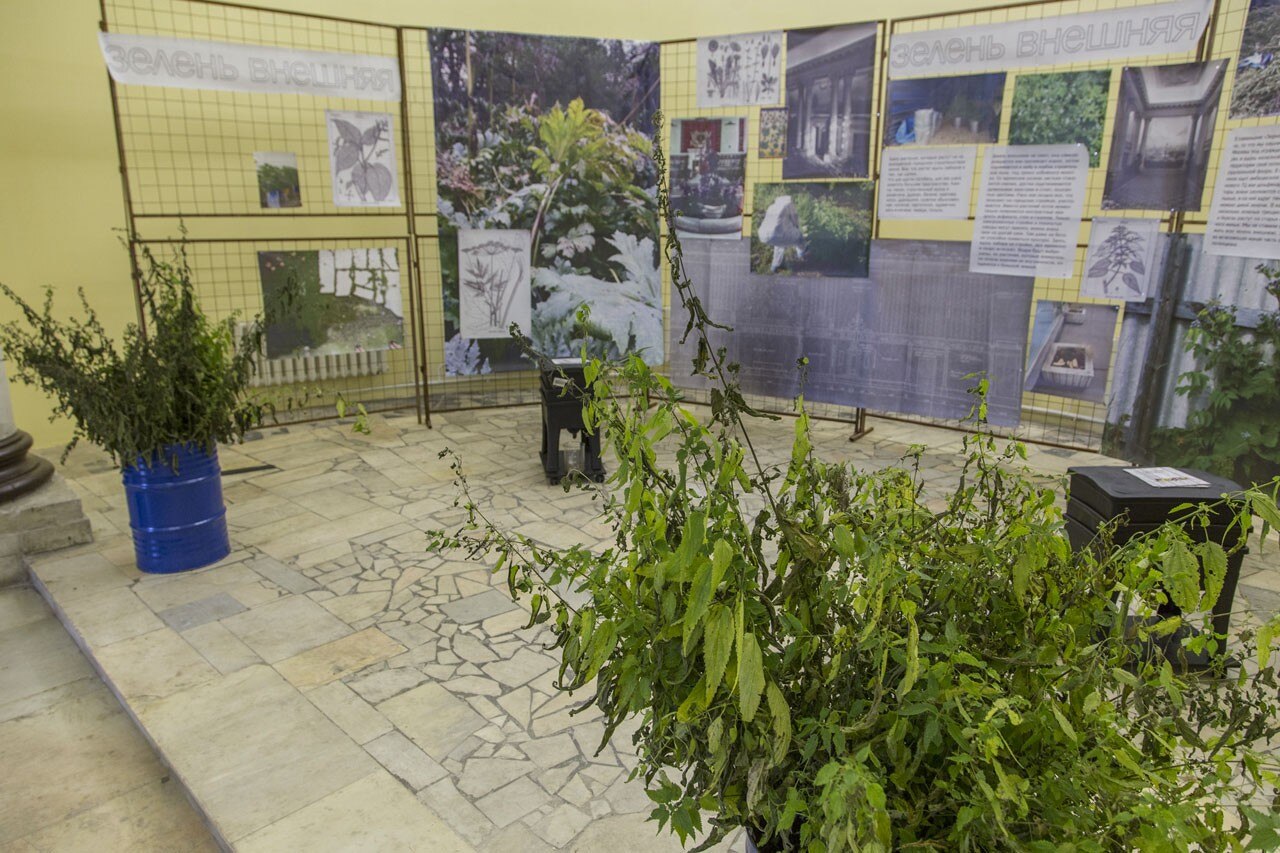 Urban Fauna Lab - Domus