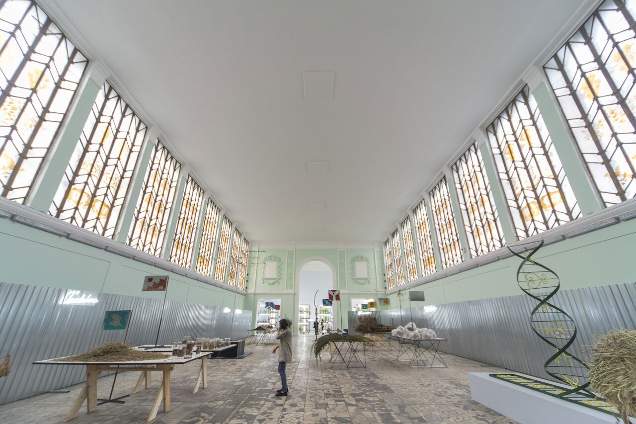 Urban Fauna Lab - Domus