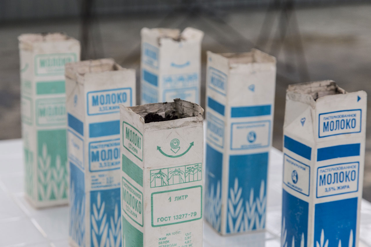 Urban Fauna Lab - Domus