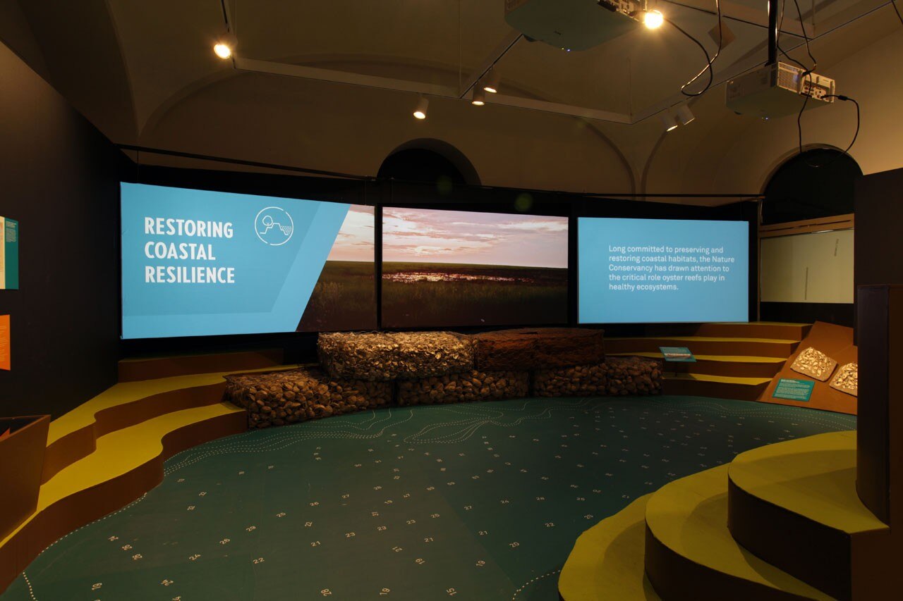 Designing for Disaster - Domus