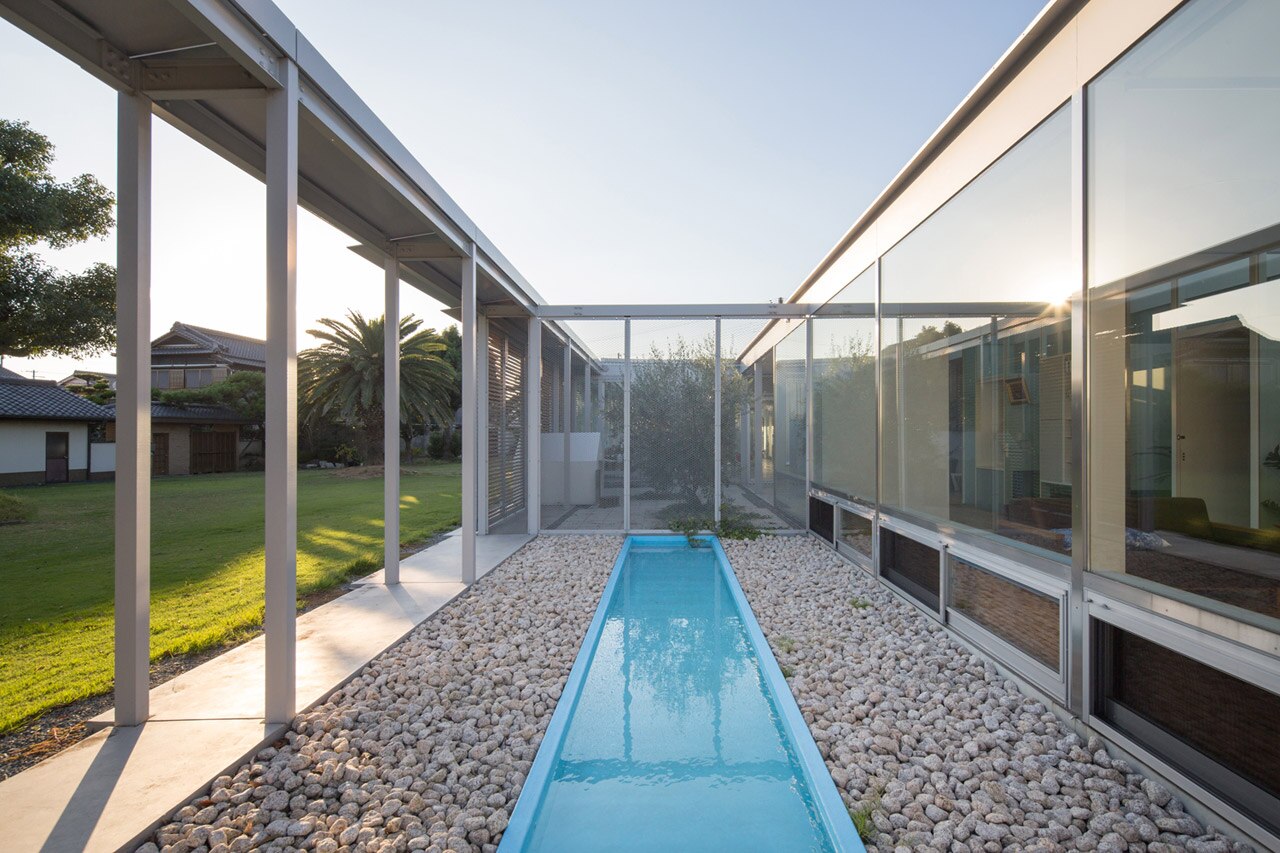 With 3 kids and 2 dogs - Domus