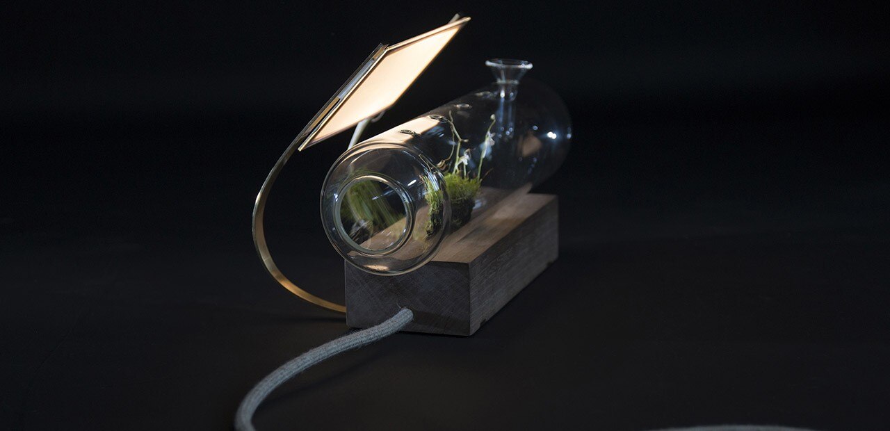 Morgan Ruben: Terra - Domus