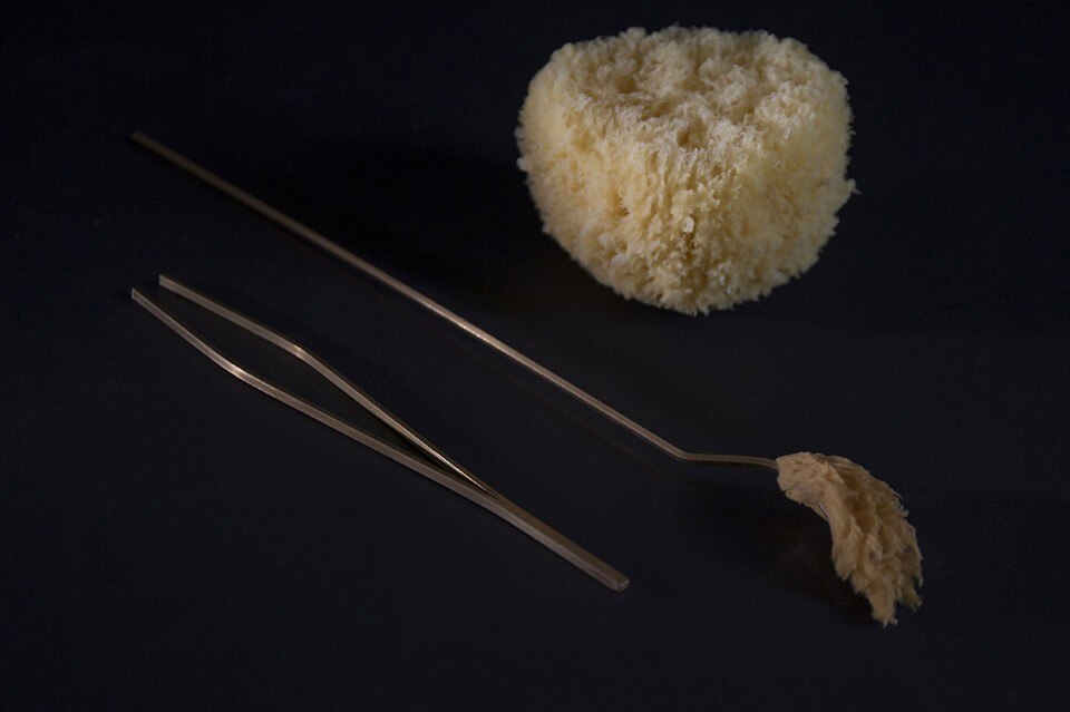 Morgan Ruben: Terra - Domus