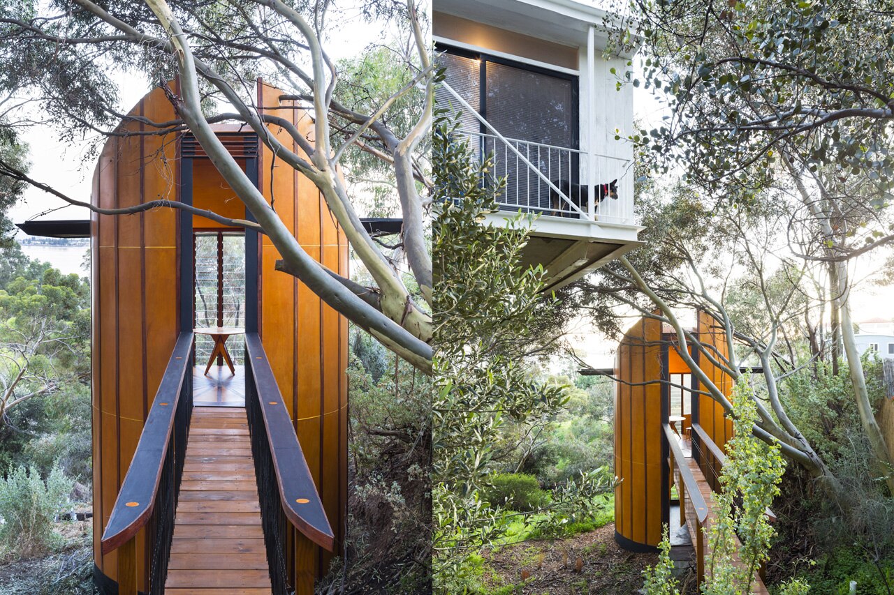 Tree Top Studio - Domus