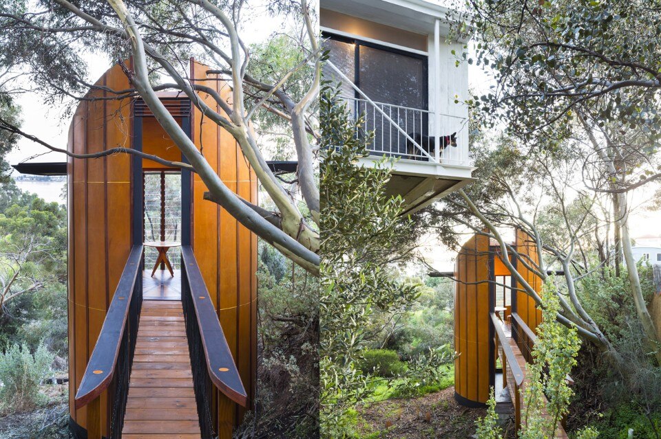Tree Top Studio - Domus