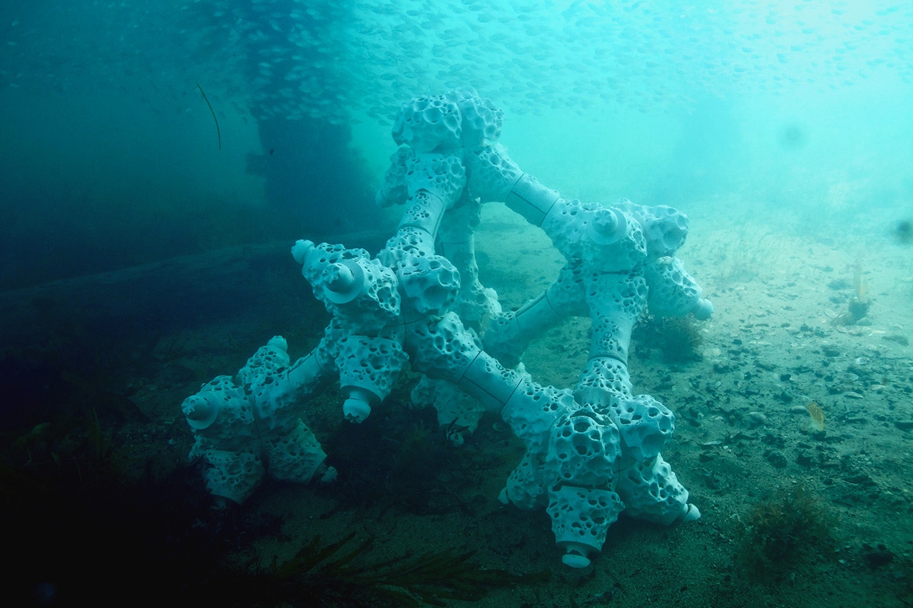 Artificial reef - Domus