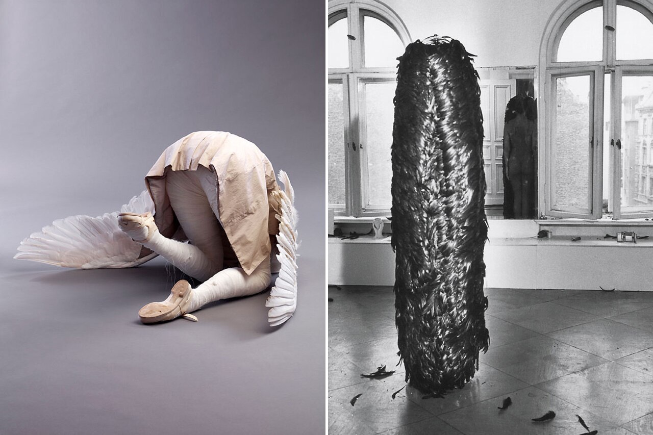 Under the Skin - Domus