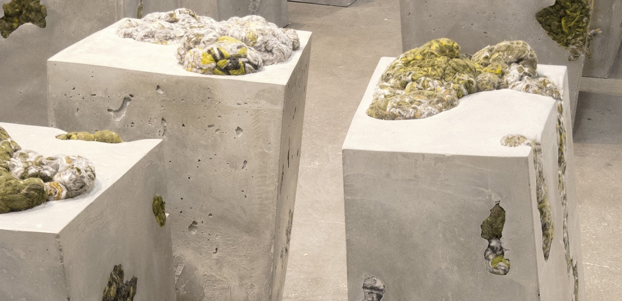 Endolith Casts - Domus