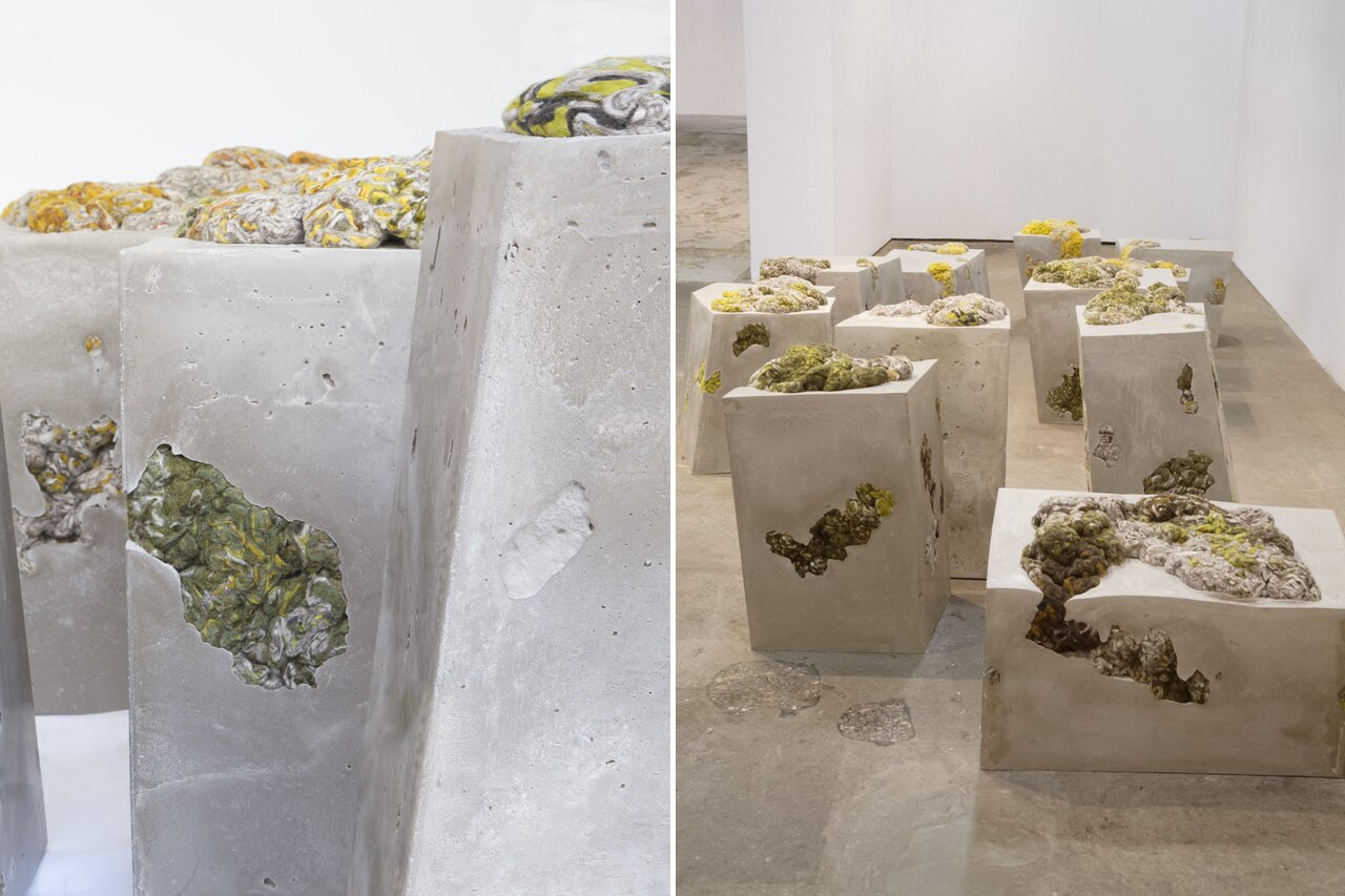 Endolith Casts - Domus