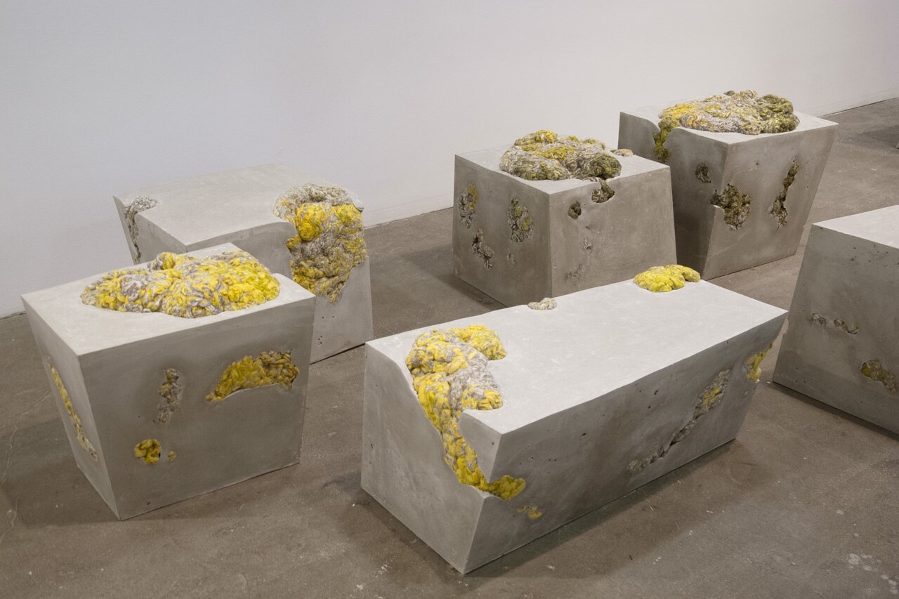 Endolith Casts - Domus