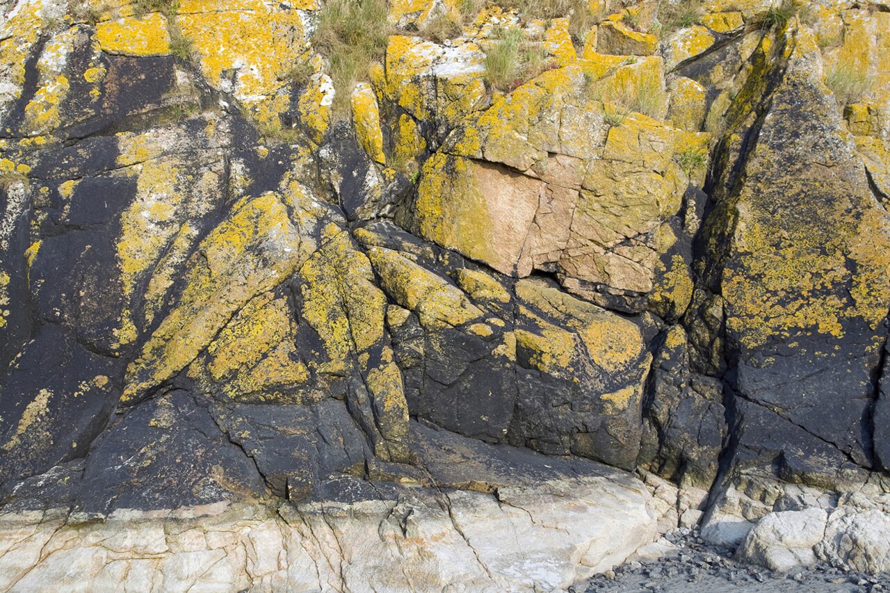 Endolith Casts - Domus