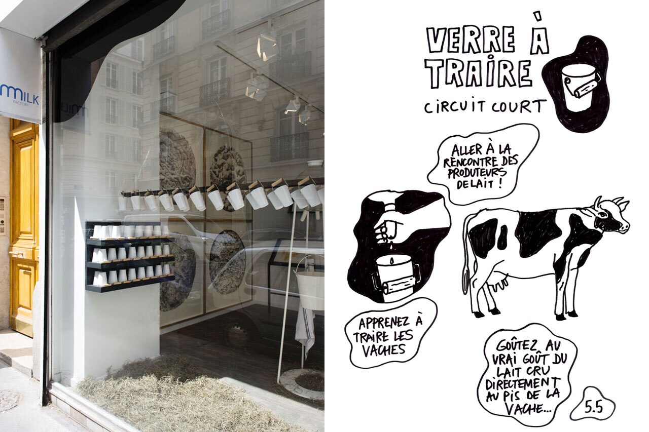 Vache à lait - Domus