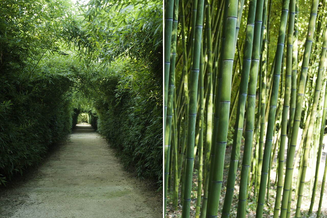 Masone labyrinth by Franco Maria Ricci: the world’s largest maze - Domus