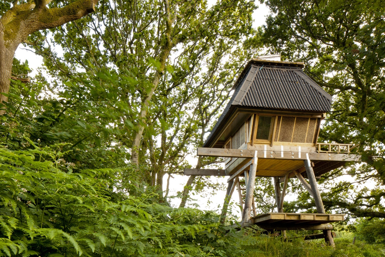 Hut On Stilts - Domus