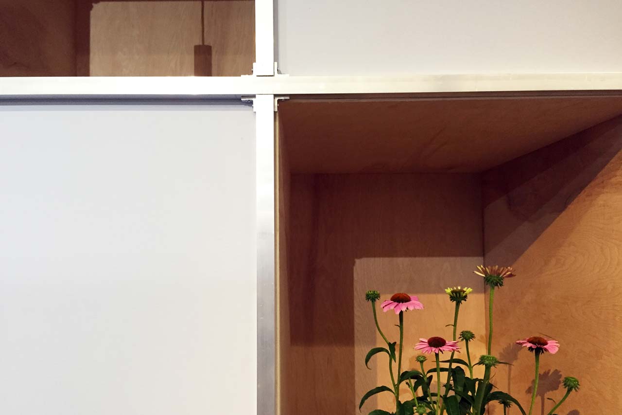 Living Anatomy - Domus