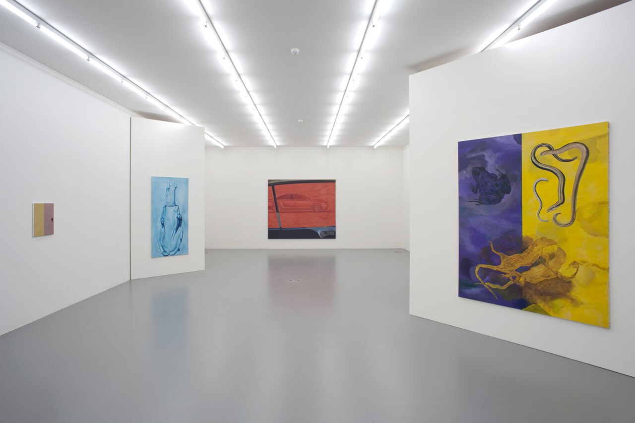Allison Katz: AKA - Domus
