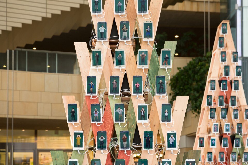 Trees for everyone - Domus