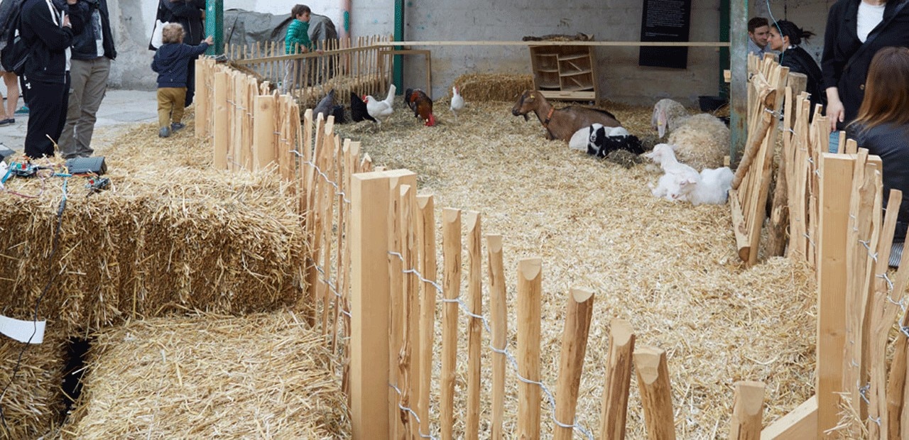 Please pet the animals - Domus