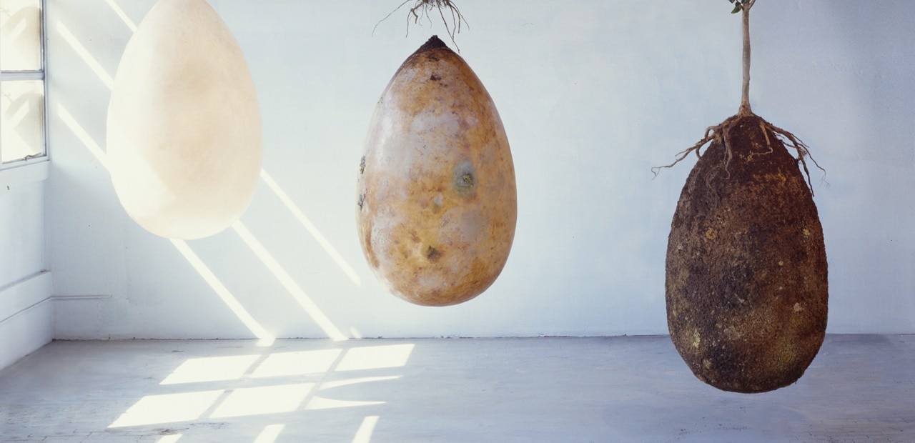 Capsula Mundi - Domus