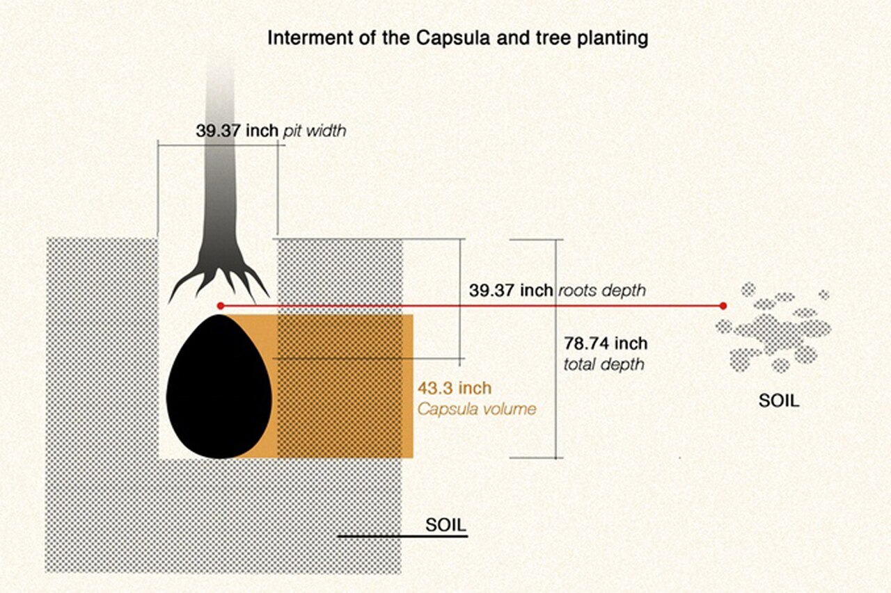 Capsula Mundi - Domus