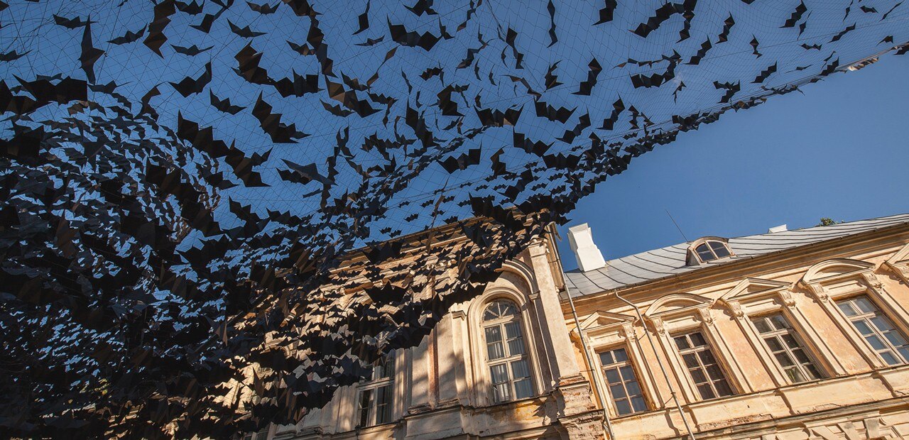 Nature Concert Hall - Domus