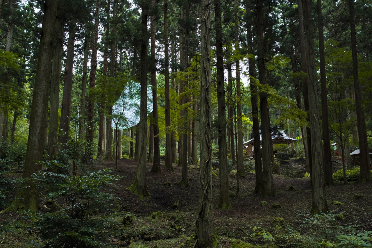 Mirage in the forest - Domus