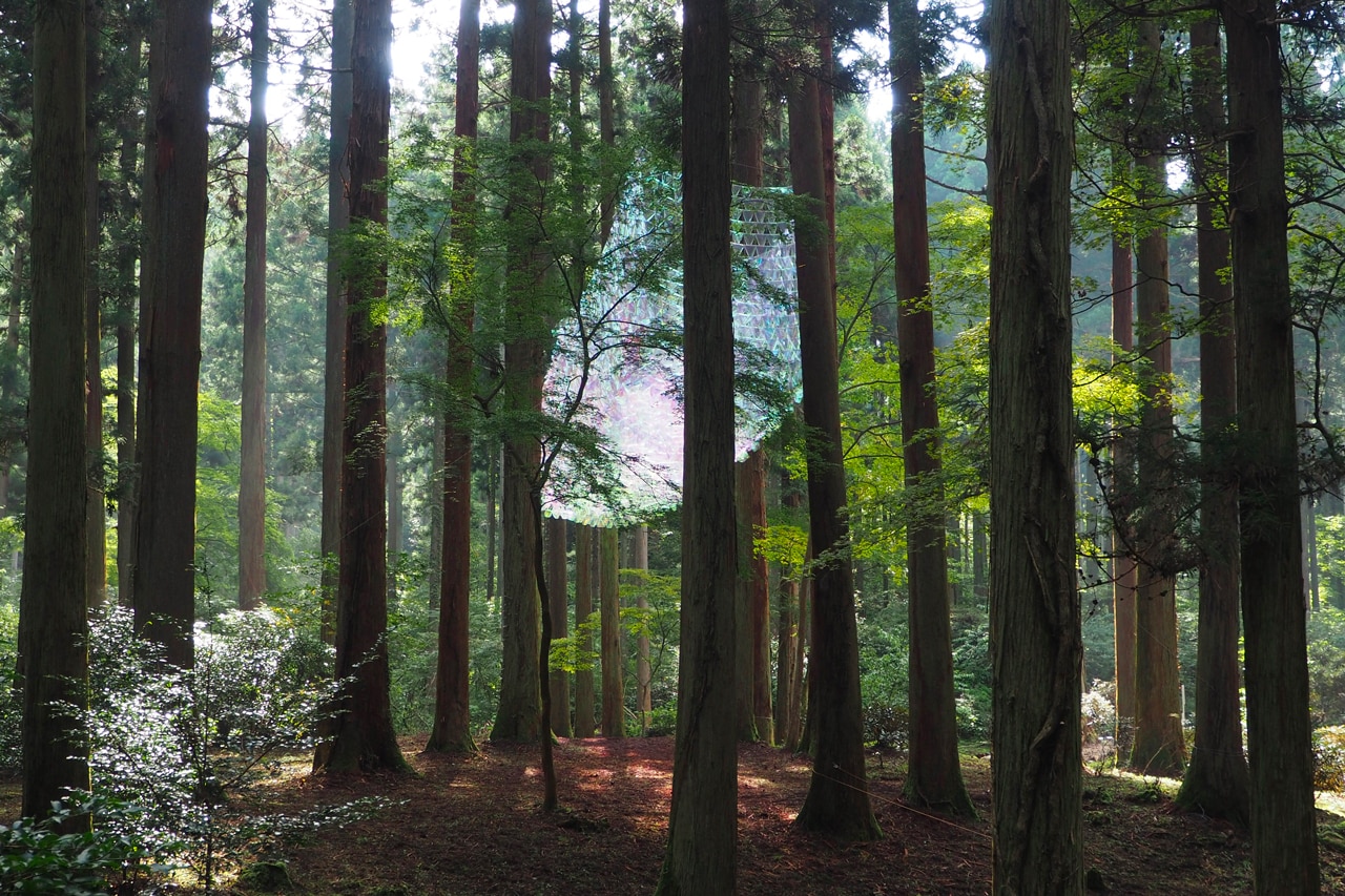 Mirage in the forest - Domus