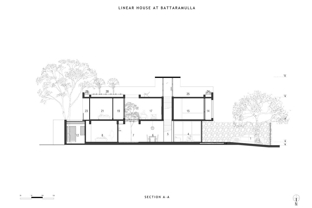 Linear House - Domus
