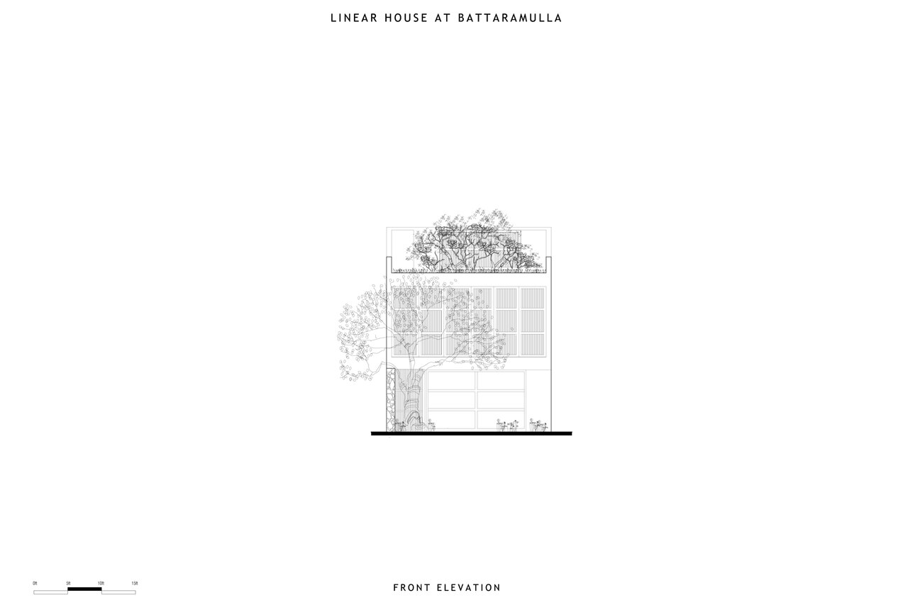 Linear House - Domus