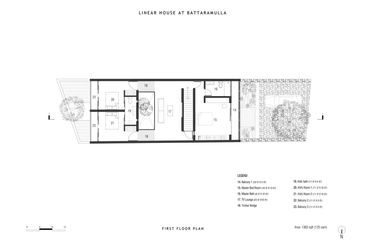 Linear House - Domus