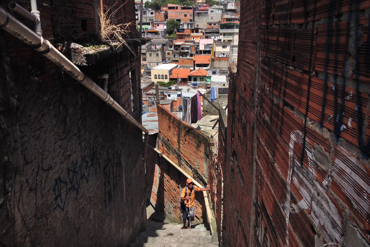 Back to the Favela - Domus