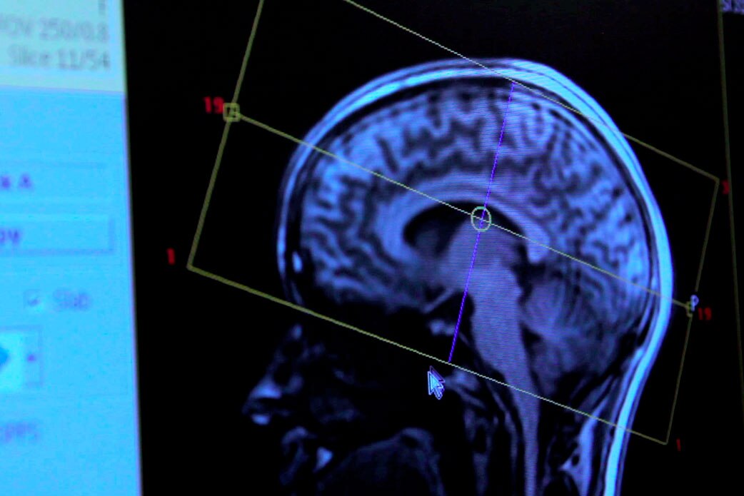 Your brain manufacturing - Domus