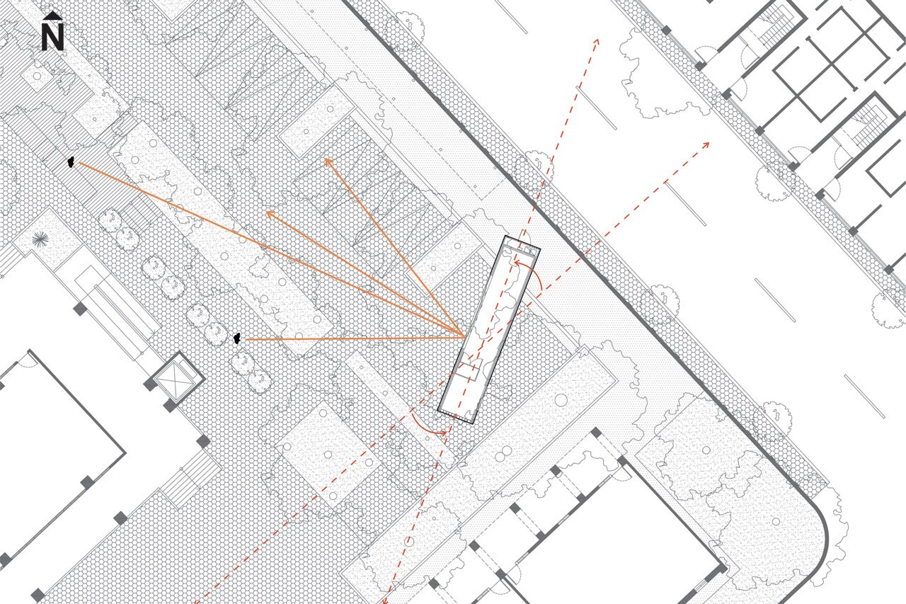 Trees in the Mirror - Domus