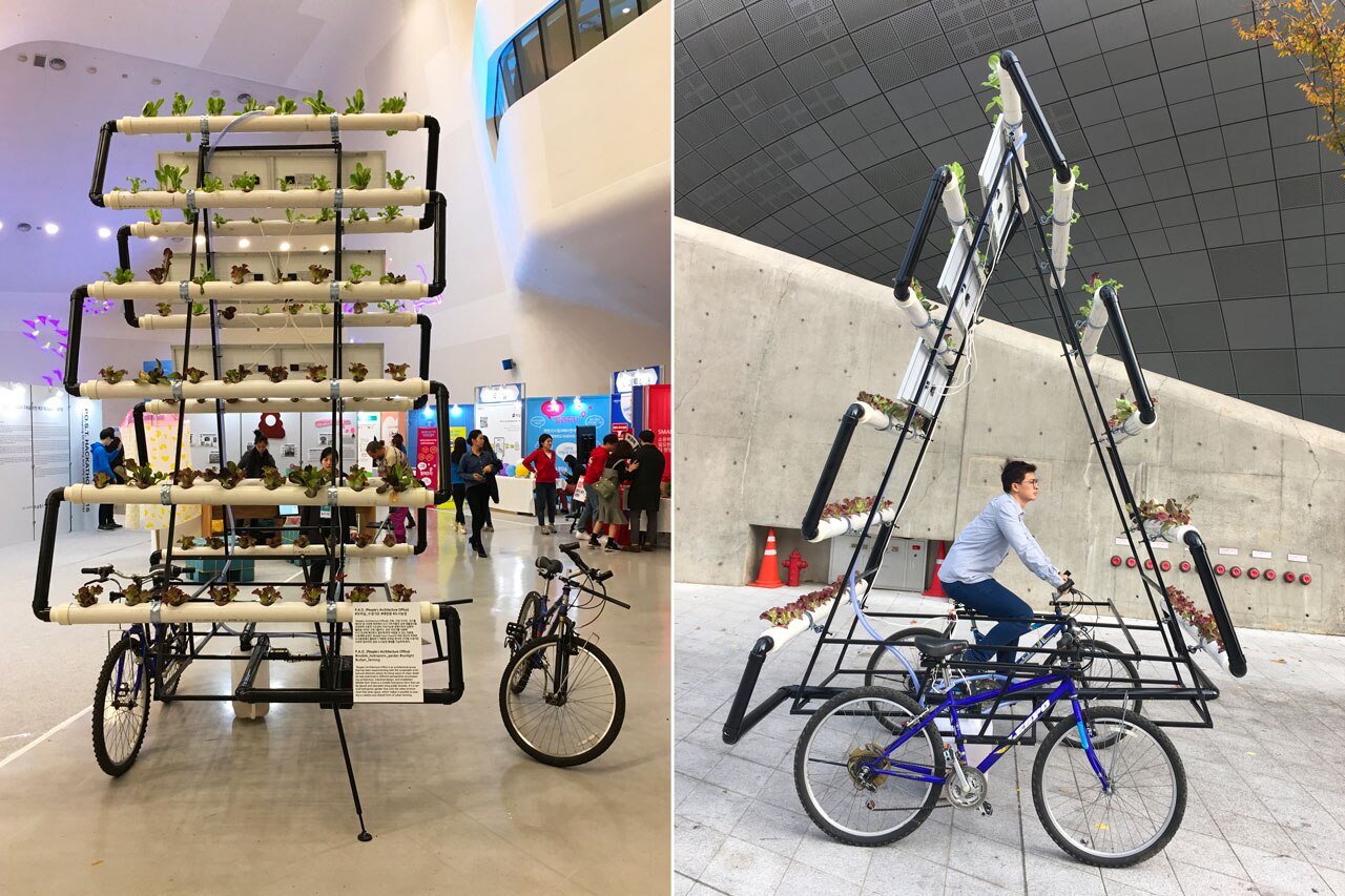 Bike Share Farm - Domus